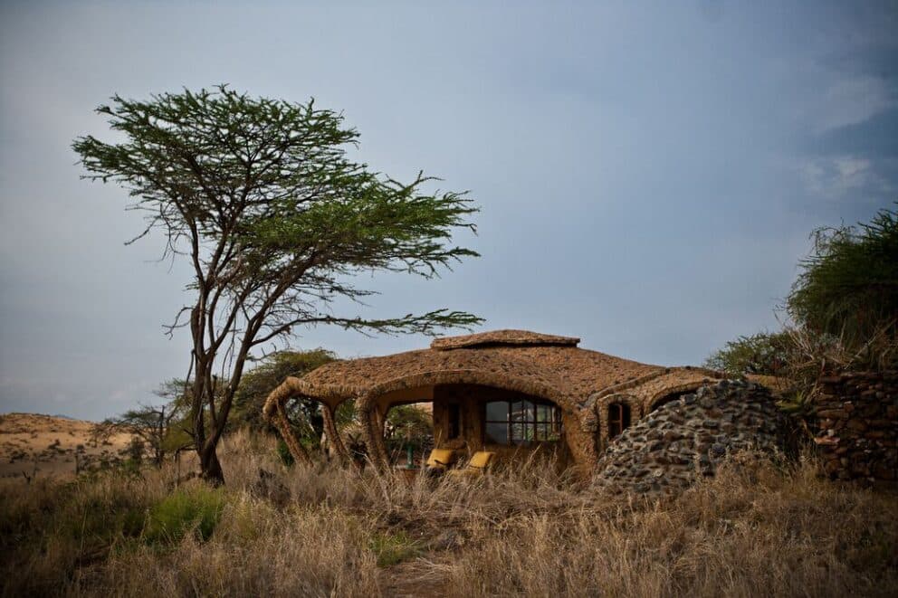 Lewa House Lewa House, Lewa Conservancy, Kenya | Discover Africa Safaris