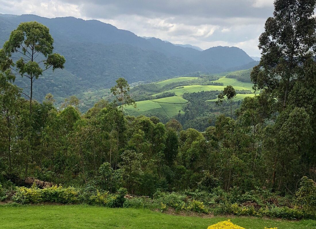 Nyungwe Top View Hill Hotel Nyungwe Top view hill hotel, Nyungwe ...