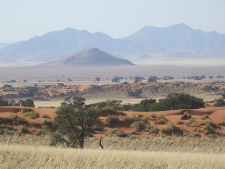 Languages of Namibia | Discover Africa