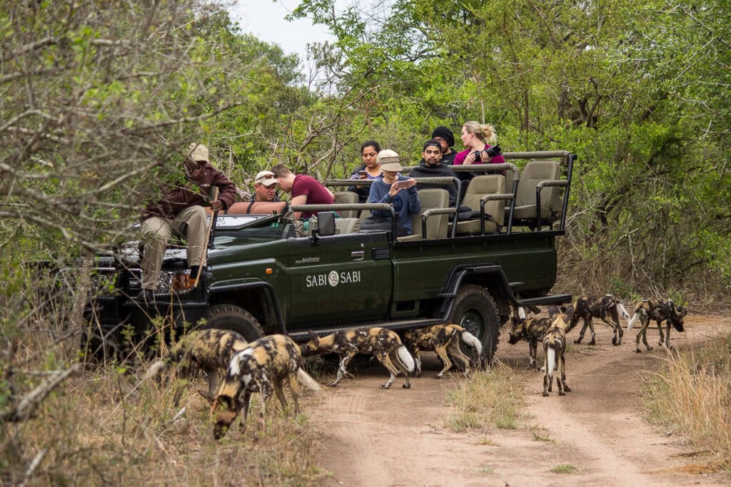 Sabi Sabi's Grand Expansion to Sandringham and Cape Town – Discover Africa