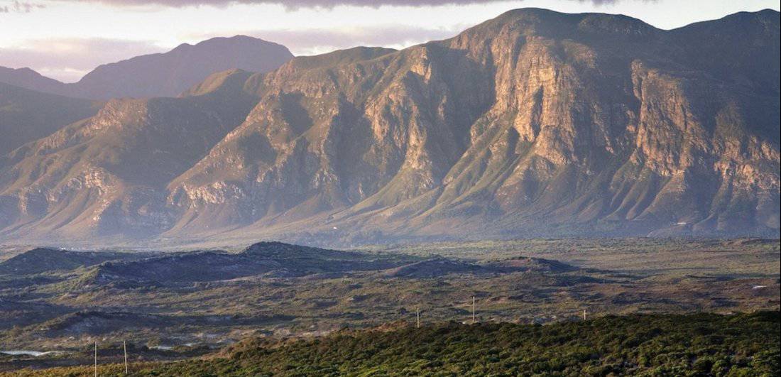 The wild horses of the Overberg – Discover Africa