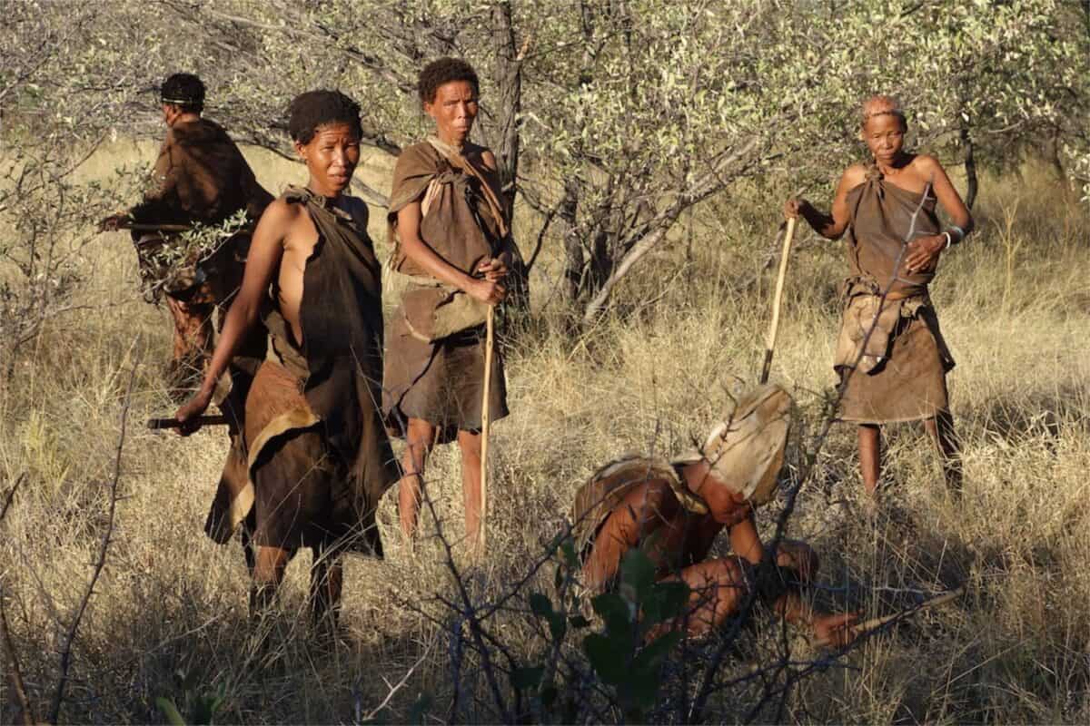 Exploring the Rich Cultural Heritage of Botswana's Indigenous Tribes – Discover Africa