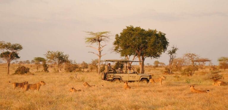 Why return visitors prefer Tanzania’s Southern Circuit – Discover Africa