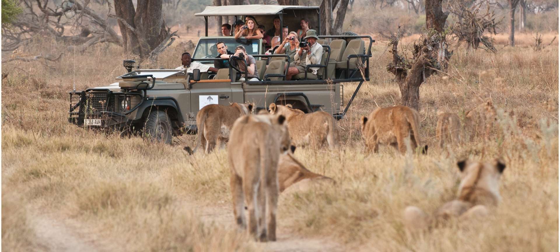 What to Pack for Your Botswana Safari – Discover Africa