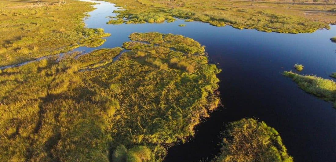The Conservation Success Story of Botswana – Discover Africa