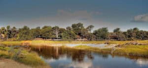 Botswana Safaris & Tours | Top Rated Safari Tour Operator