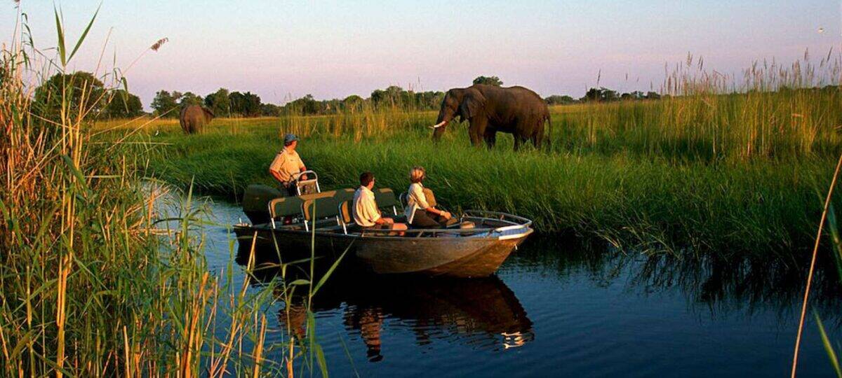Botswana Safaris & Tours | Top Rated Safari Tour Operator