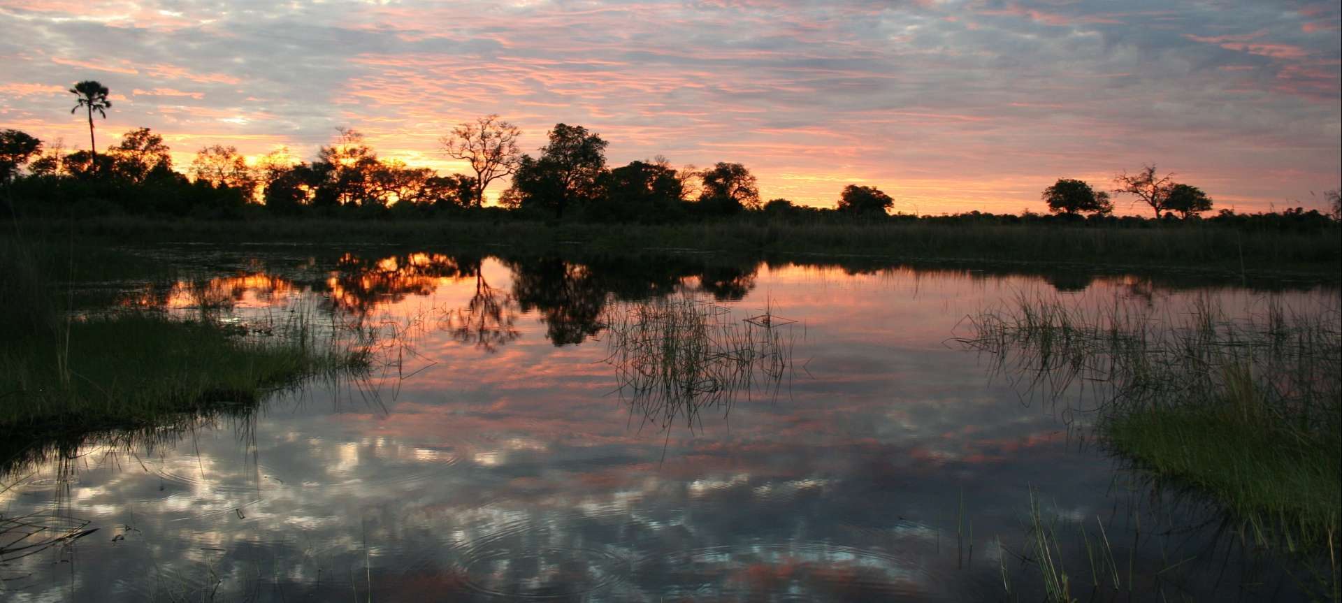 Botswana Safaris & Tours | Top Rated Safari Tour Operator