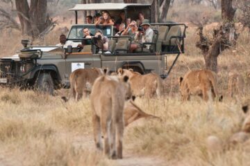 Botswana Safari - Luxury Botswana Safaris & Tours