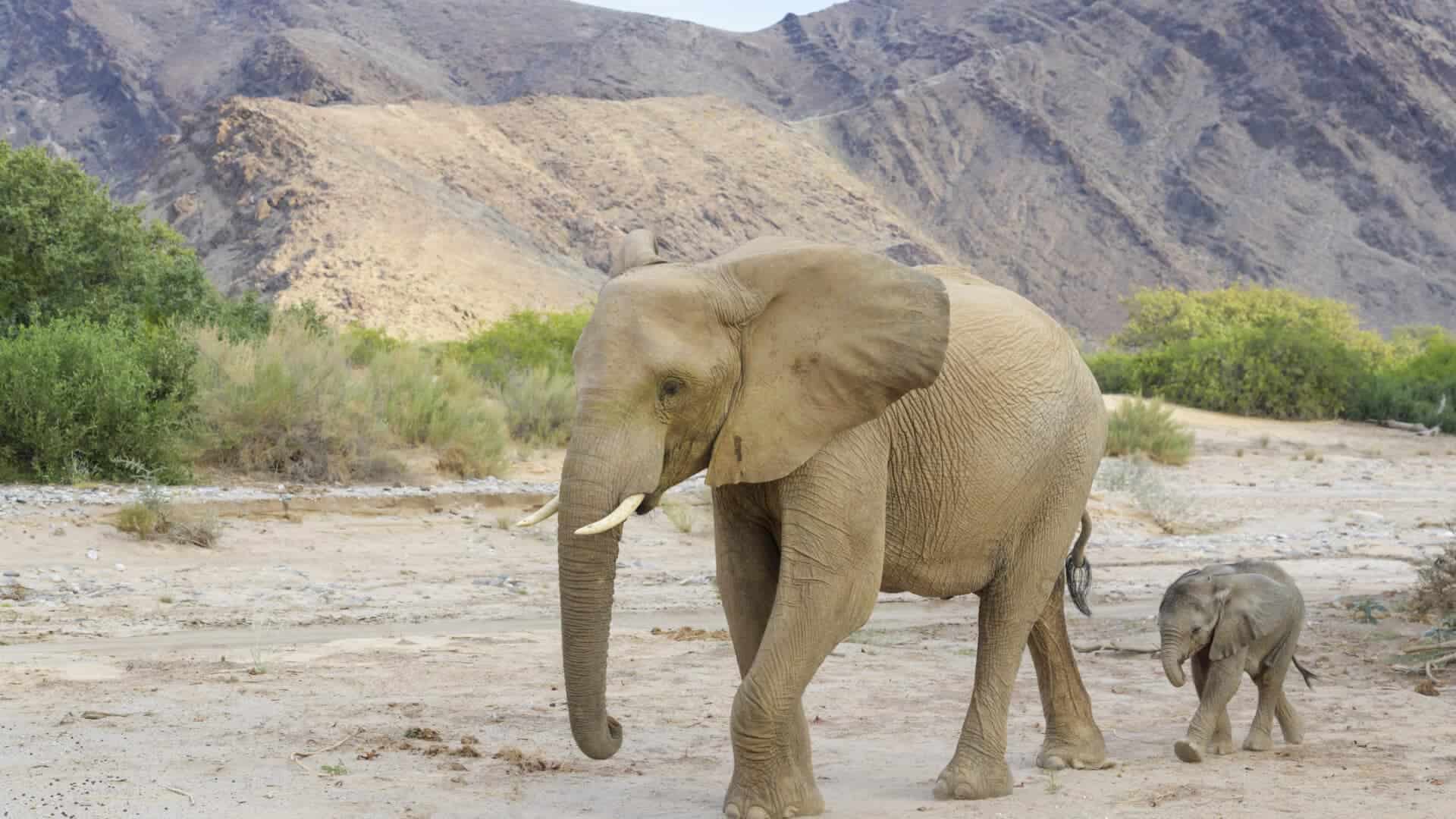 Northern Namibia – Discover Africa