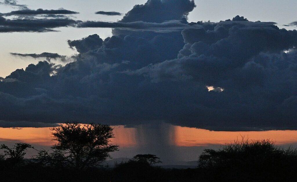 Kenya in January – Discover Africa
