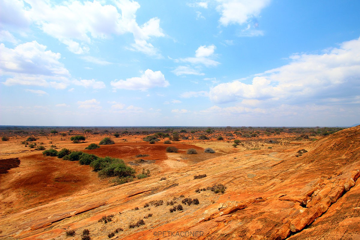 Tsavo East and West | Discover Africa Safaris