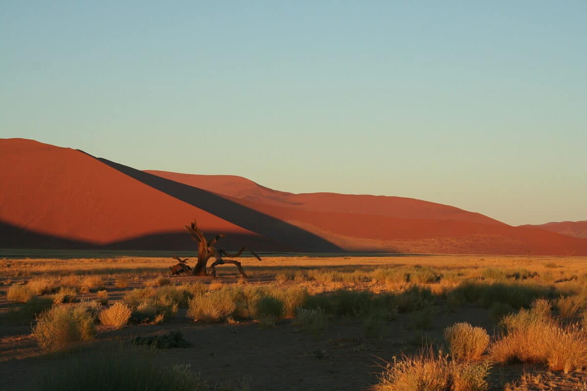 Namibia Safaris, Tours & Packages | Safari in Namibia