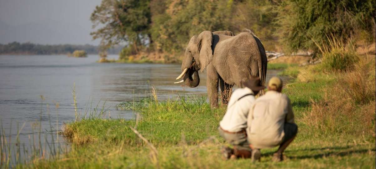 An Adventure Safari in Zimbabwe – Discover Africa