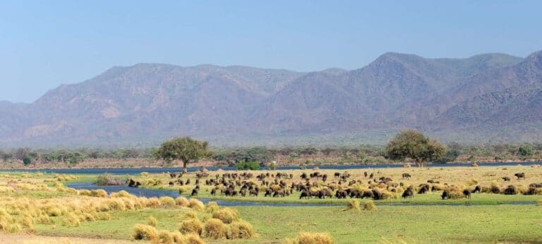 An Adventure Safari in Zimbabwe – Discover Africa