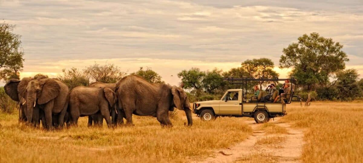 Zimbabwe Safaris, Tours & Packages | Safari in Zimbabwe