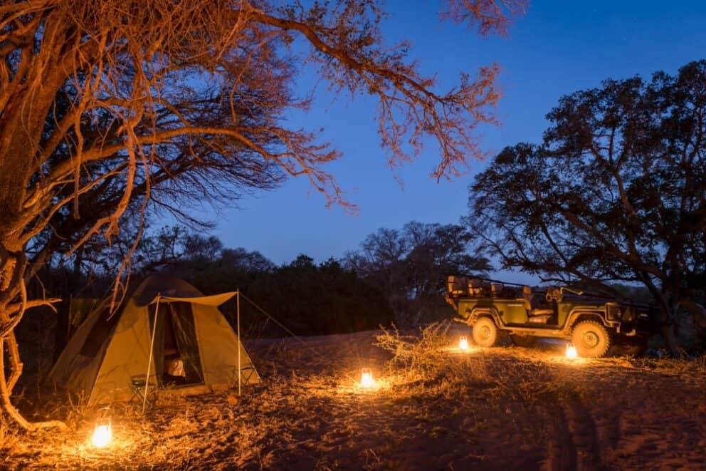 Kruger National Park Safaris & Tours | Safari in Kruger