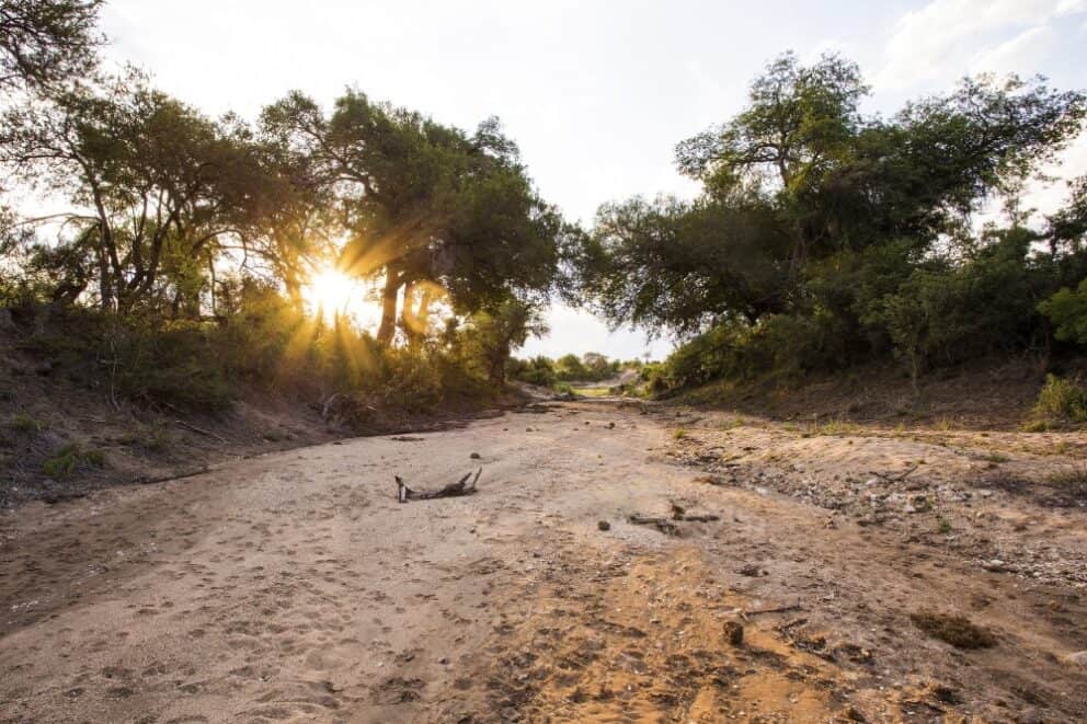 Kruger National Park in August | Discover Africa Safaris