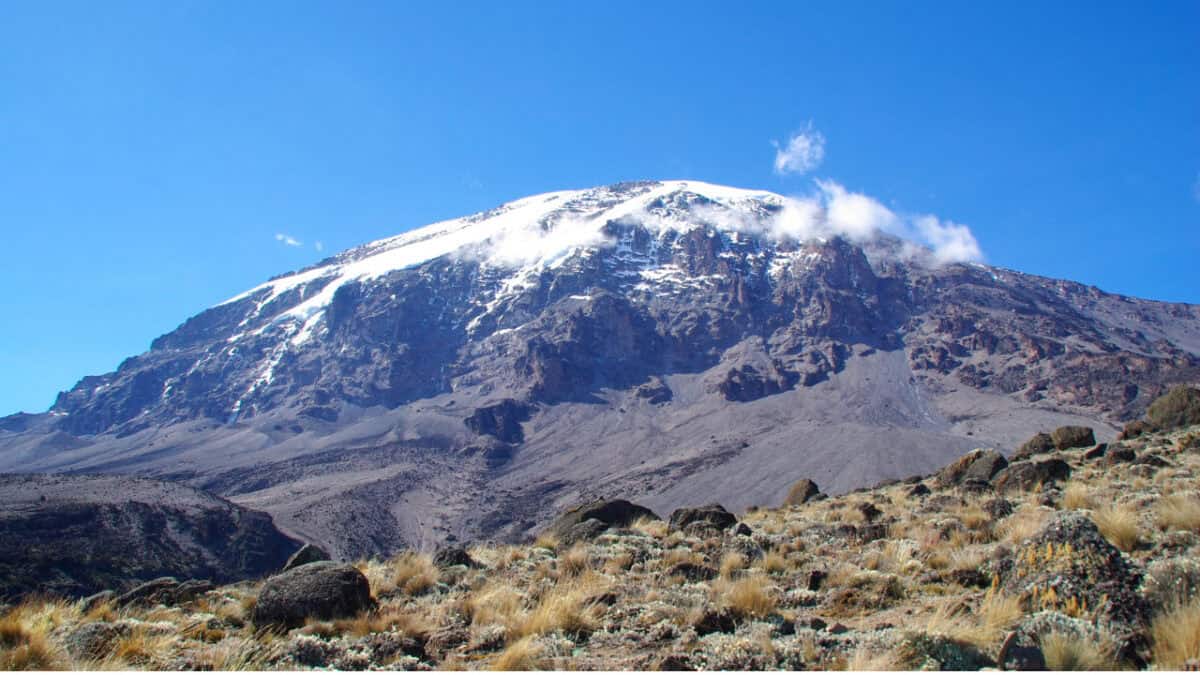 Mount Kilimanjaro - Safari | Discover Africa