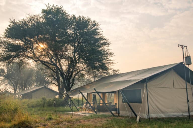 Ubuntu Migration Camp - Safari Tented Suites | Discover Africa