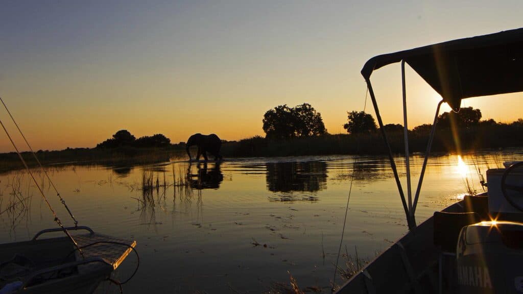 Matthys’ Top Three Favourite lodges In Botswana | Discover Africa Safaris