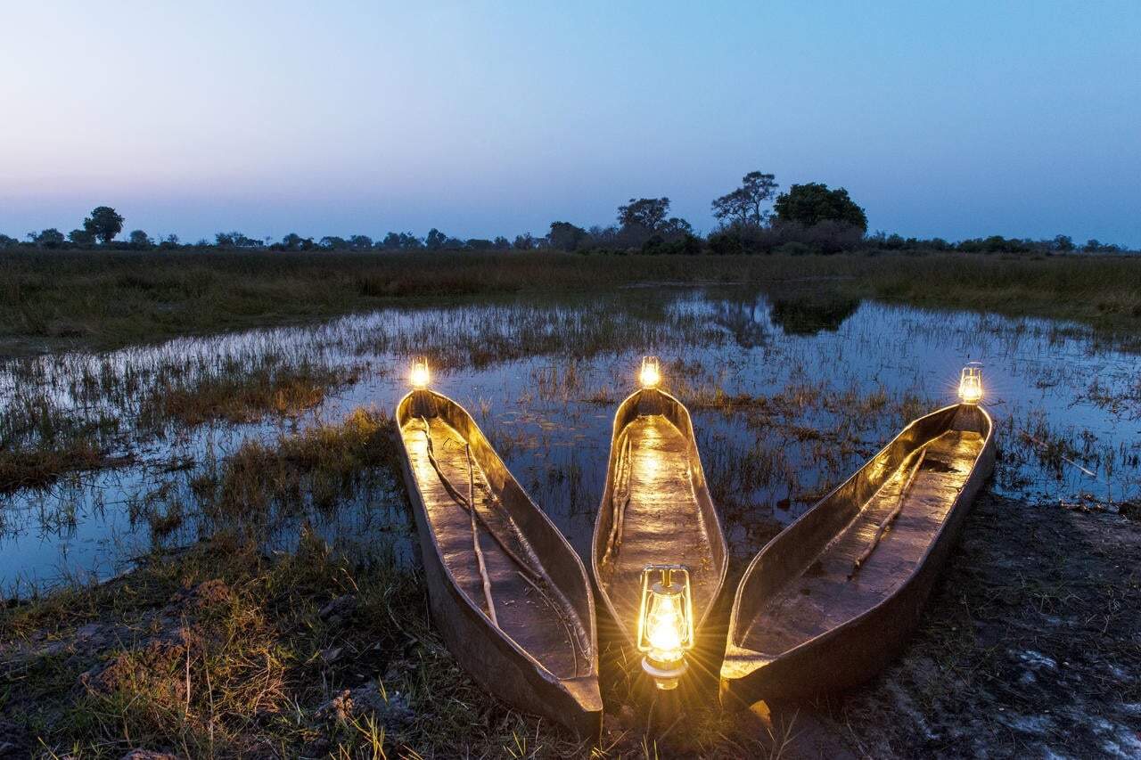 Five Things That Make the Okavango Delta a Must Visit – Discover Africa