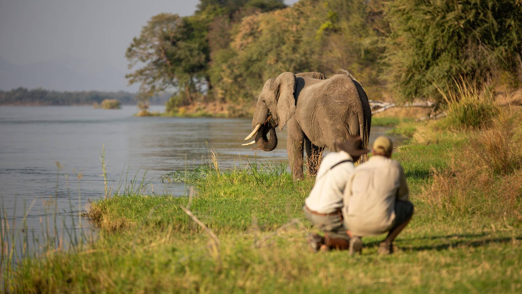 Zimbabwe Safari - Wildlife Safari Tours & Experience - Discover Africa