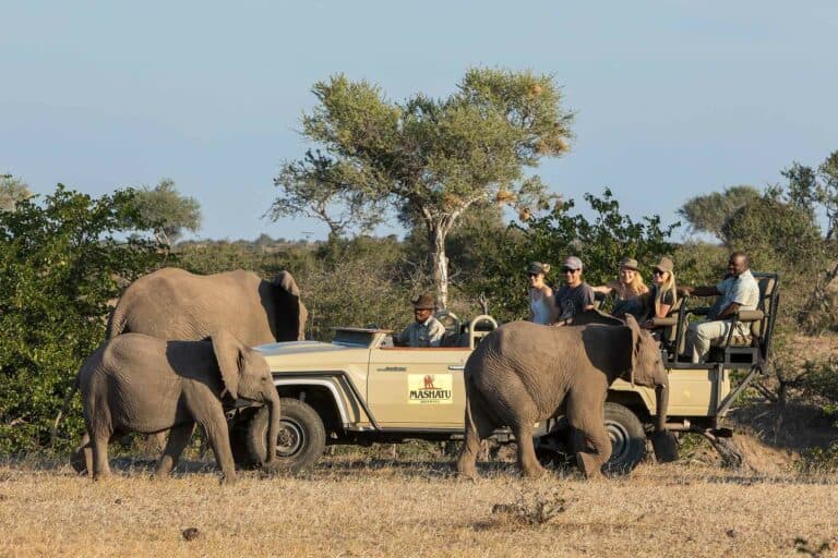 Is Botswana safe? | Discover Africa