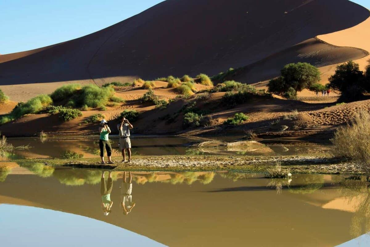 Namibia Safaris, Tours & Packages | Safari in Namibia