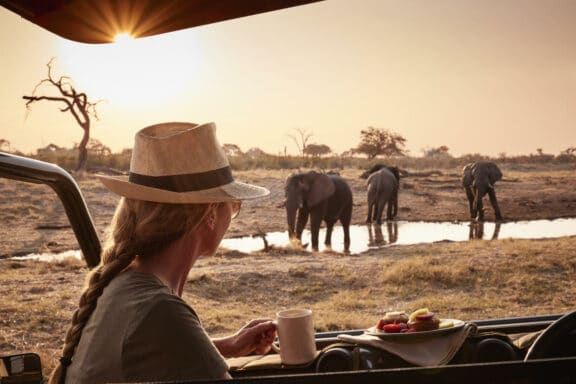 Botswana Safaris & Tours | Top Rated Safari Tour Operator