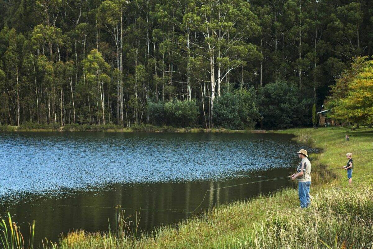 Dullstroom Holiday – Discover Africa