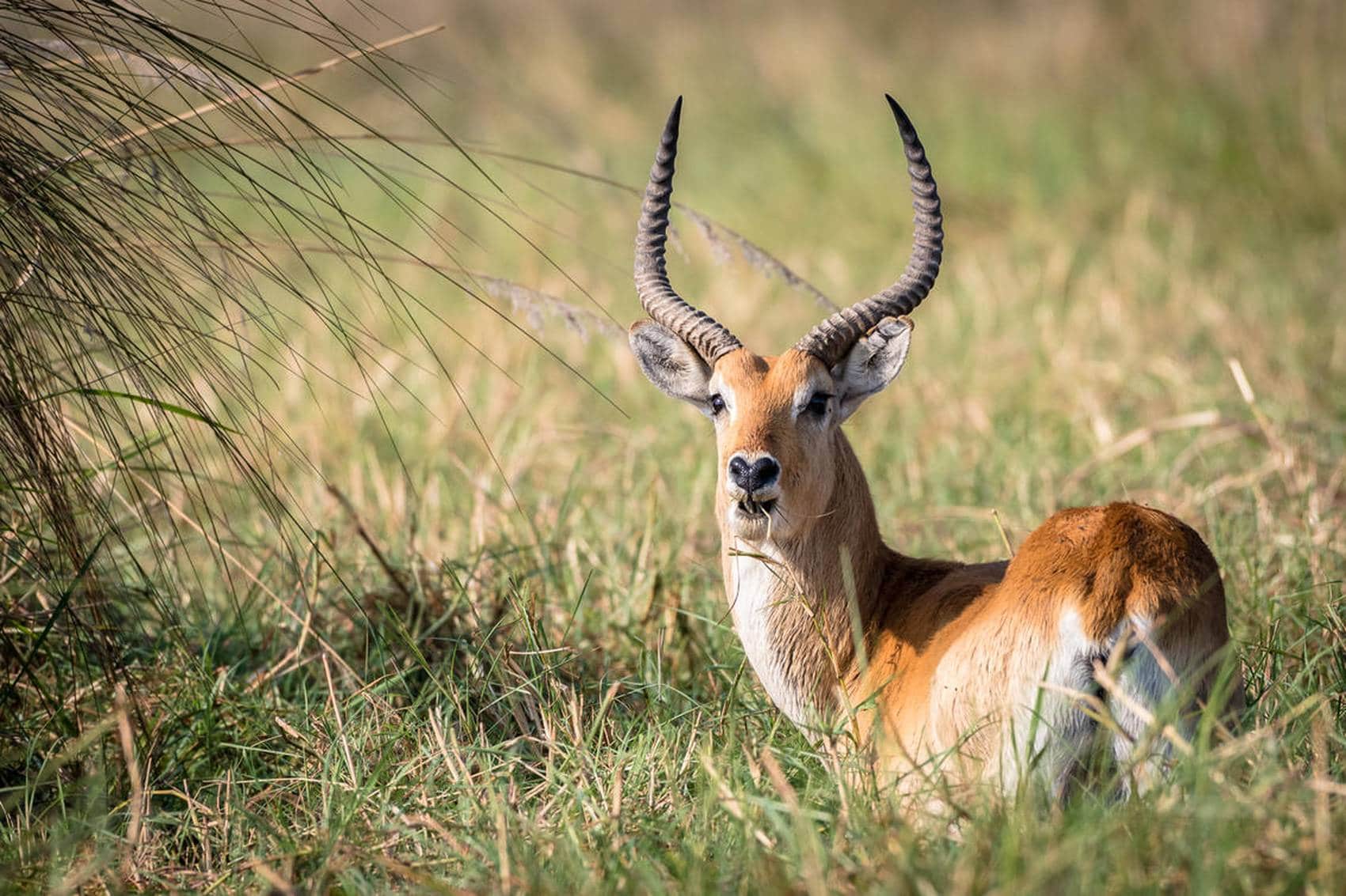 Saa Nane Island Holiday & Vacations - Holiday in Saa Nane