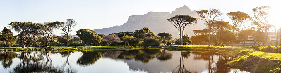 Four Reasons to Vacation in Sunny South Africa – Discover Africa