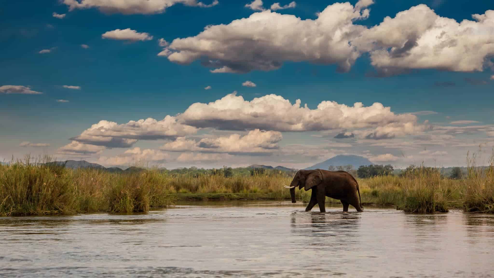 Lower Zambezi National Park – Discover Africa