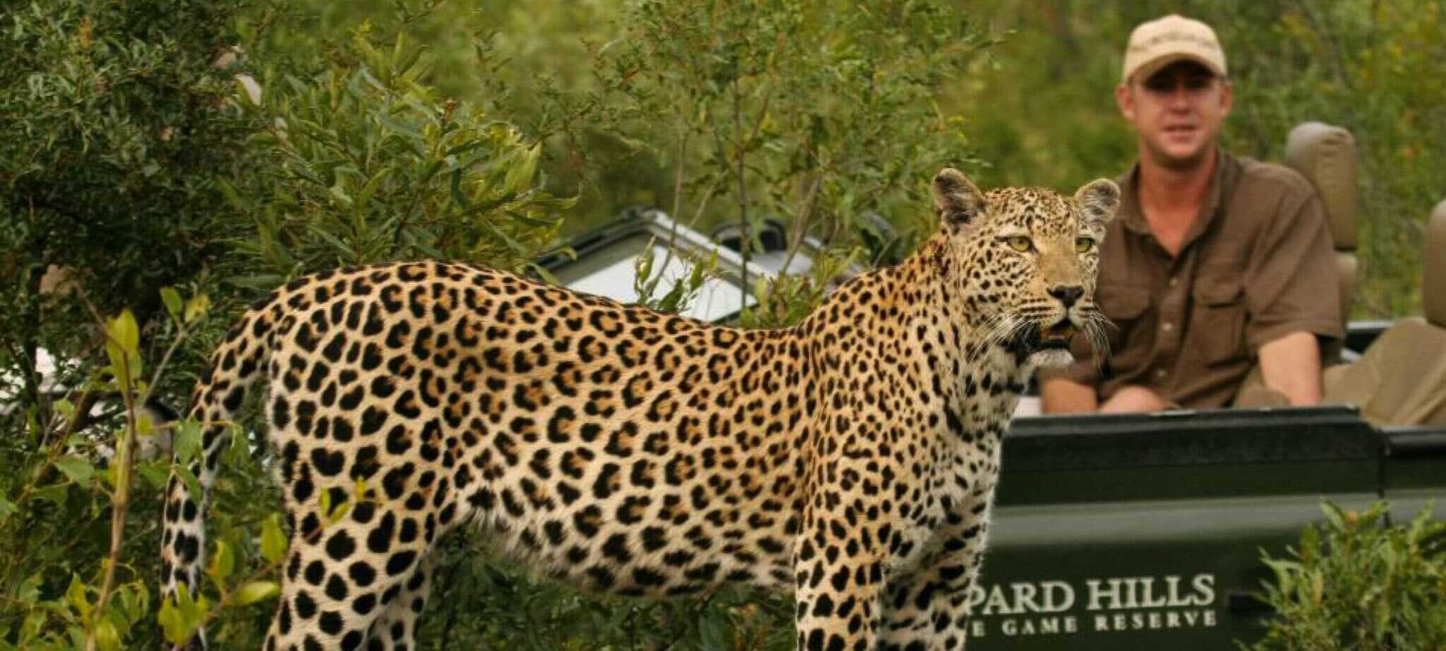 Leopard Hills Private Game Lodge Leopard Hills Private Game Reserve ...