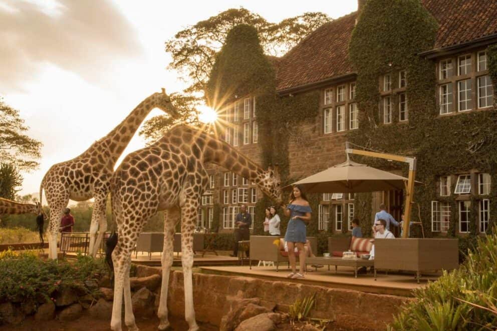 Susan Veldman – Discover Africa