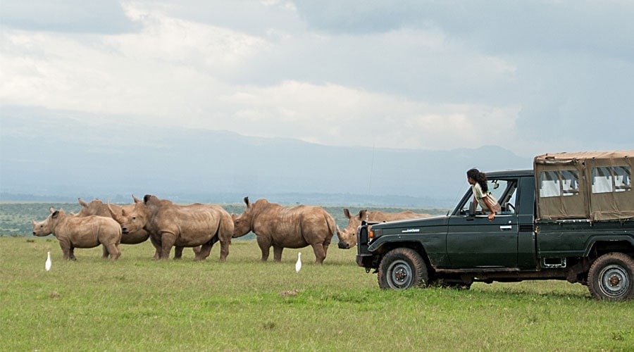 East Africa Great National Parks Migration Safari (10 days) | Discover ...