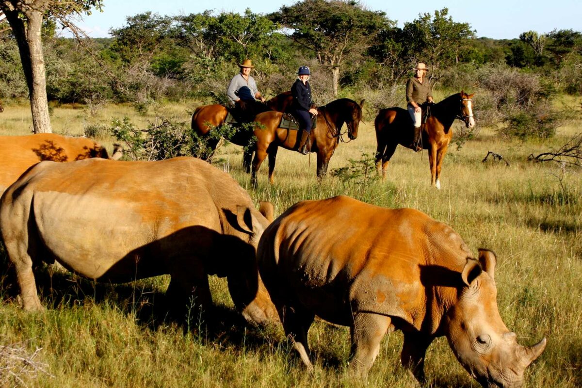 South Africa Visa Requirements And Fees Discover Africa Safaris