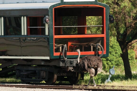 Rail safaris and luxury train travel, tours & holidays | Discover ...