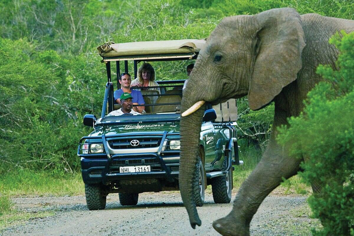 13 African Luxury Safari Lodges that Offer the Best Value for Money ...