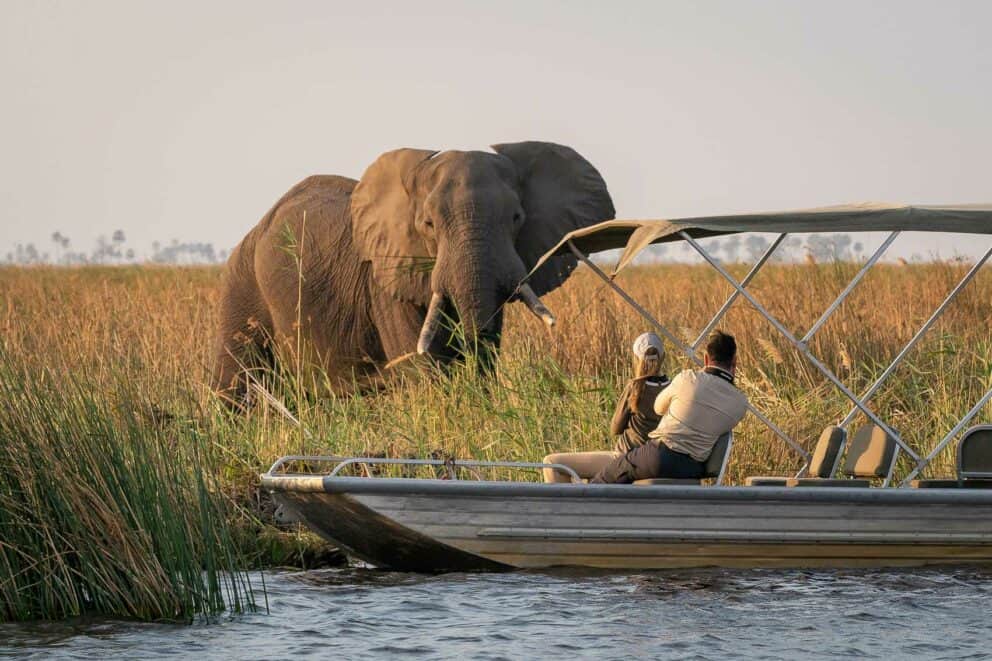 Epic Botswana Adventure (9 days) | Discover Africa Safaris