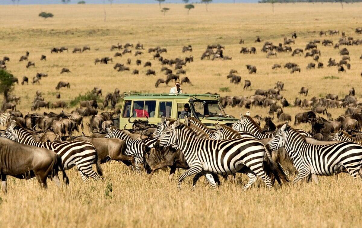Wildebeest Great Migration Safari Packages | Discover Africa