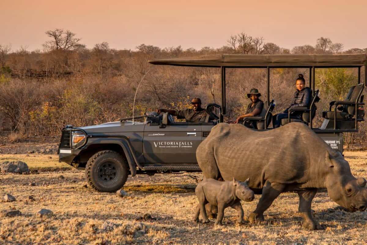 Zimbabwe’s Eastern Highlands – Discover Africa