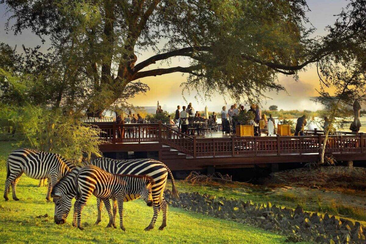 Zambia in December – Discover Africa