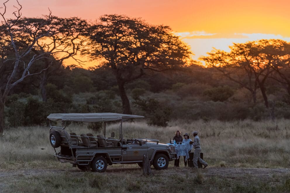 Wild Botswana & Zimbabwe Safari (10 days) | Discover Africa Safaris