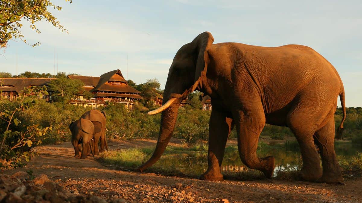 Highlights of Botswana Tour de Force (14 days) | Discover Africa Safaris