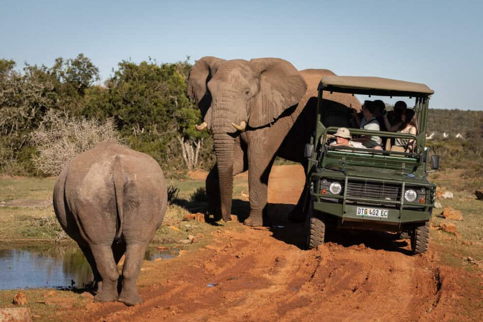 Pumba Bush Lodge Pumba Bush Lodge | Discover Africa Safaris