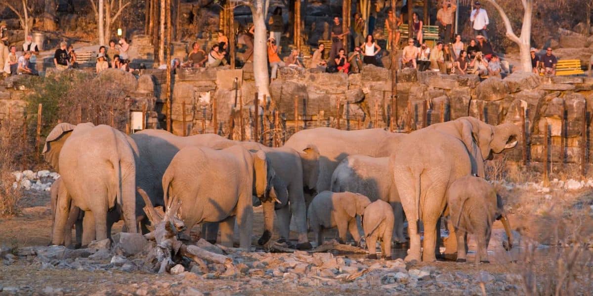 Halali Camp Halali Camp, Etosha National Park, Namibia – Discover Africa