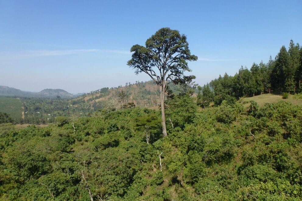 Arumeru River Lodge Arumeru River Lodge, Arusha, Tanzania | Discover ...