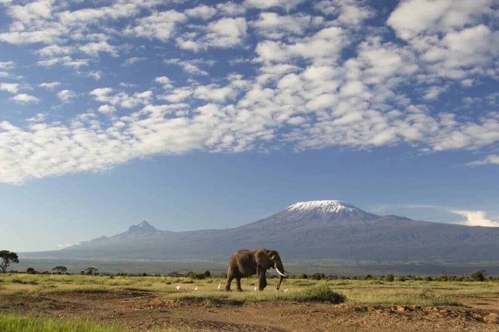 Barranco Camp Barranco Camp, Mount Kilimanjaro, Tanzania | Discover ...